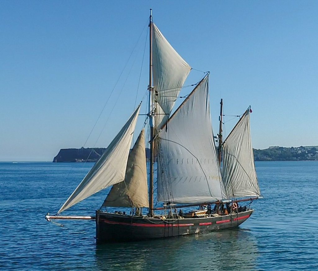 Leader - Brixham Heritage Sailing Regatta